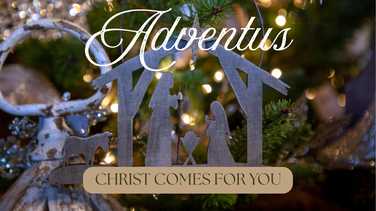 Adventus: Christ Has Come For You | Zion Lutheran Church