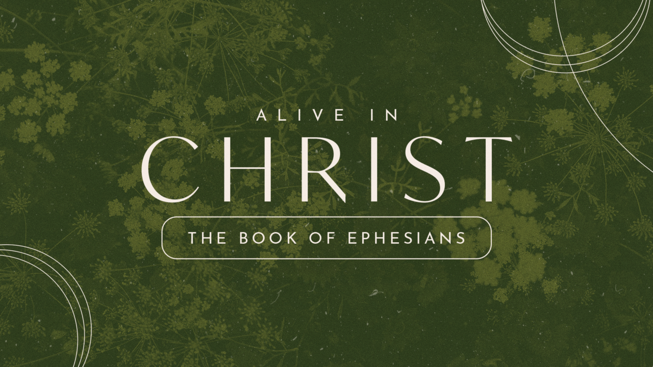 Blessed in Christ | Mercer Creek Church