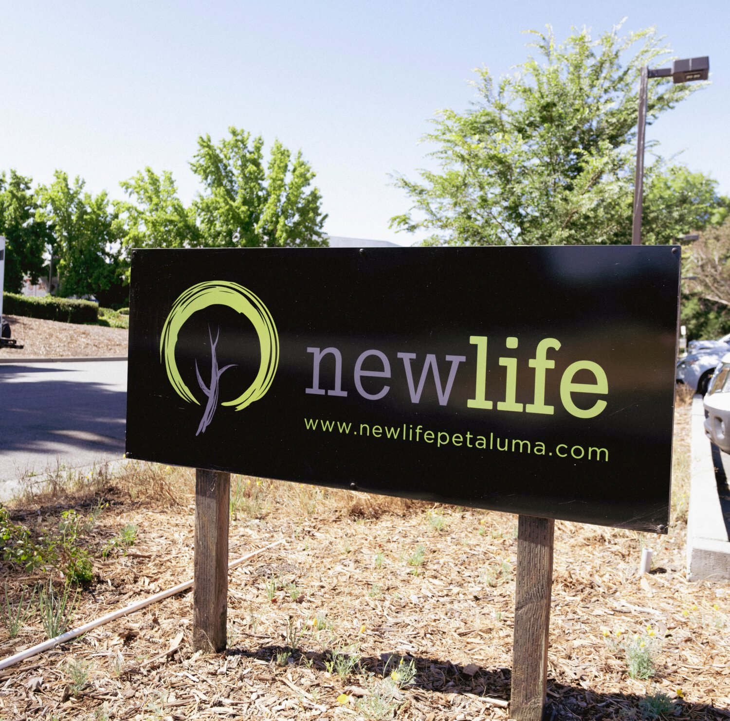 New Life Christian Fellowship | Connecting People To Jesus