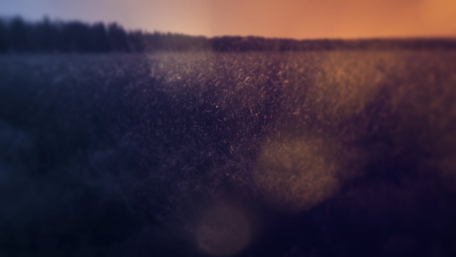 Give | Redemption Church