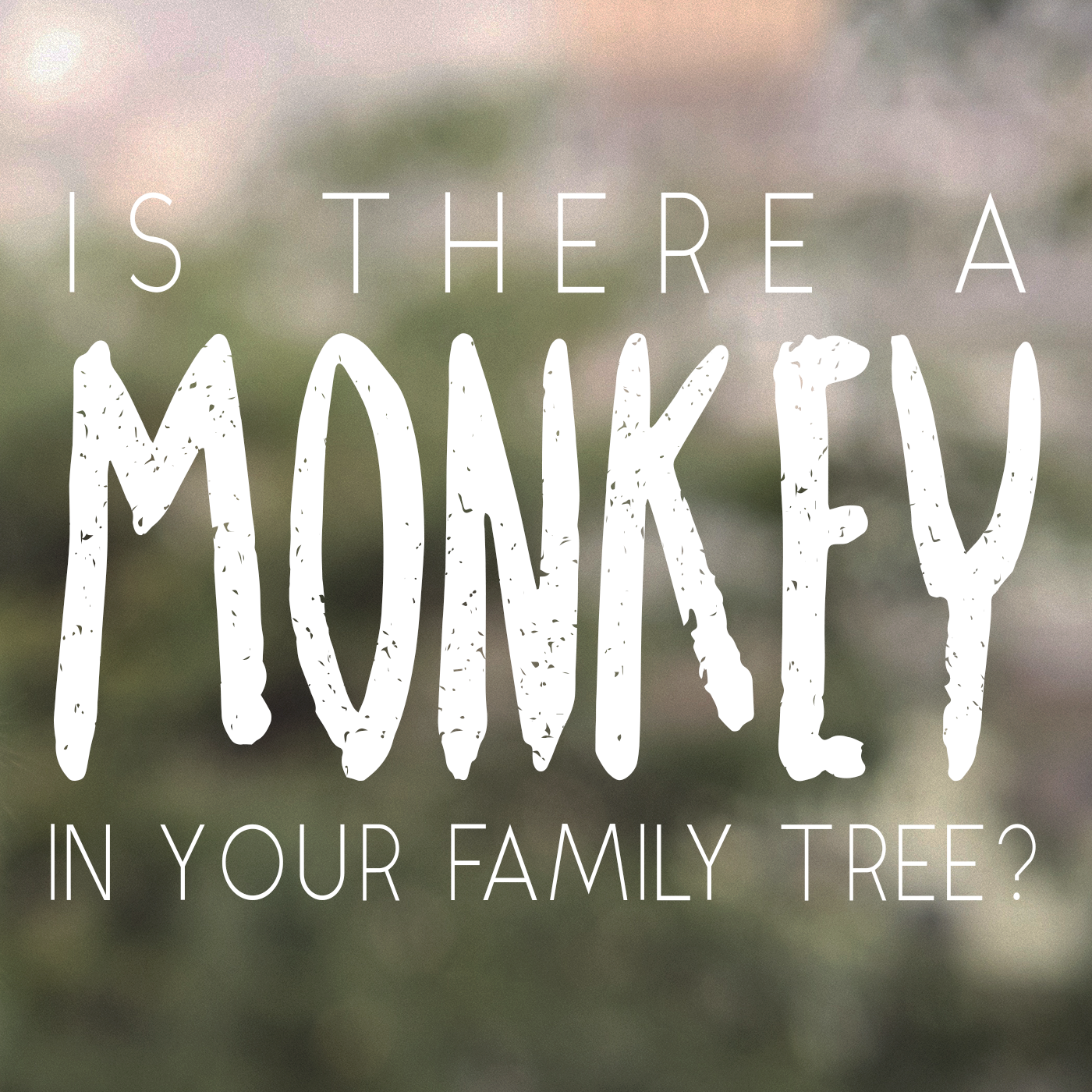 Is There a Monkey in Your Family Tree? | Calvary Chapel Longview