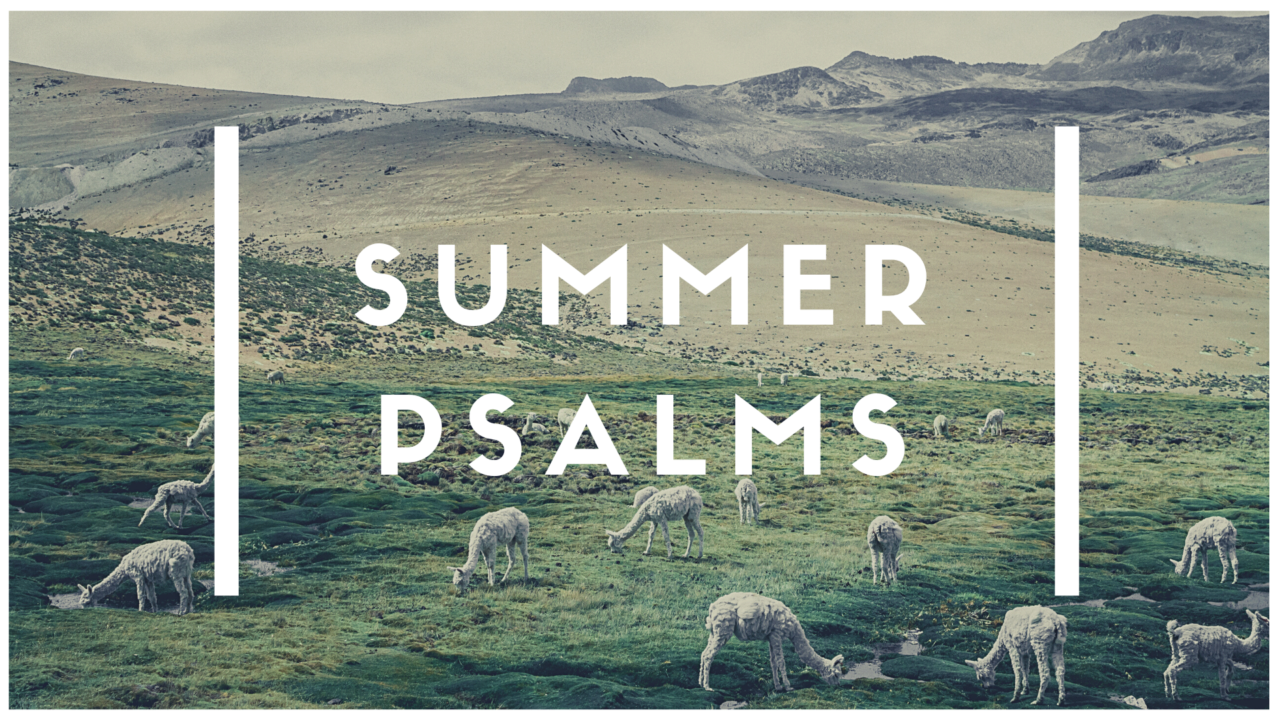 Suffering Under Discipline | GCF North