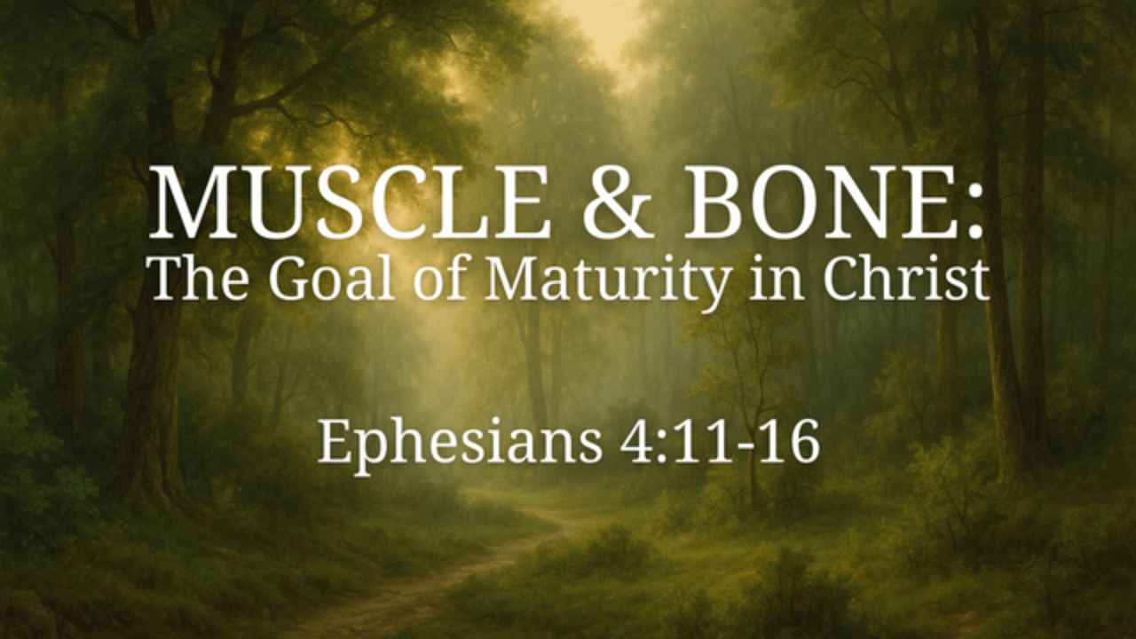 Muscle & Bone: The Goal of Maturity in Christ | Eph 4:11–16 | Mayflower ...