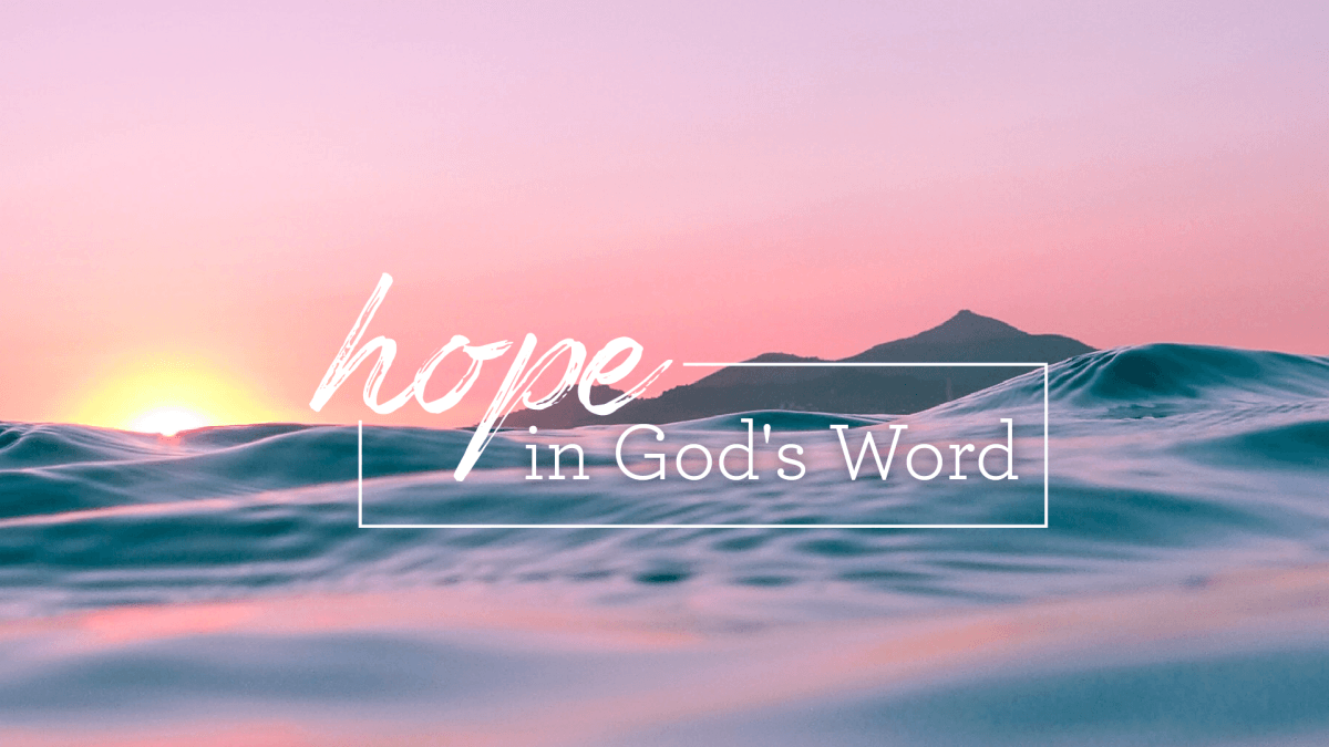 Vineyard Christian Church Stanthorpe | Find Hope and Fellowship