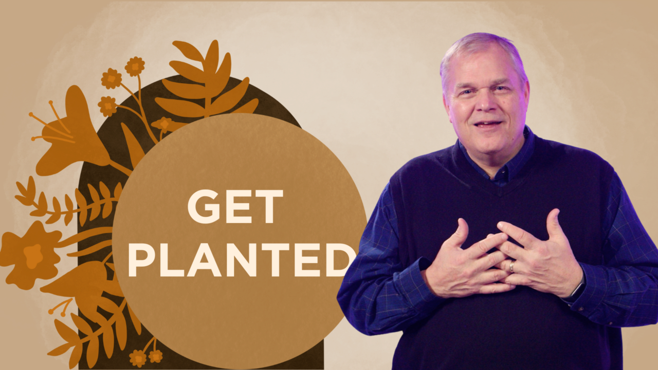 Get Planted | Calvary Church