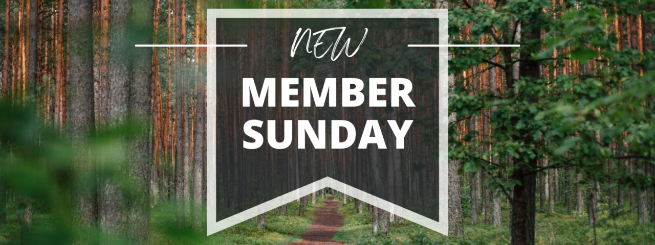 Trinity Church | Loving God Completely, Loving Others Selflessly