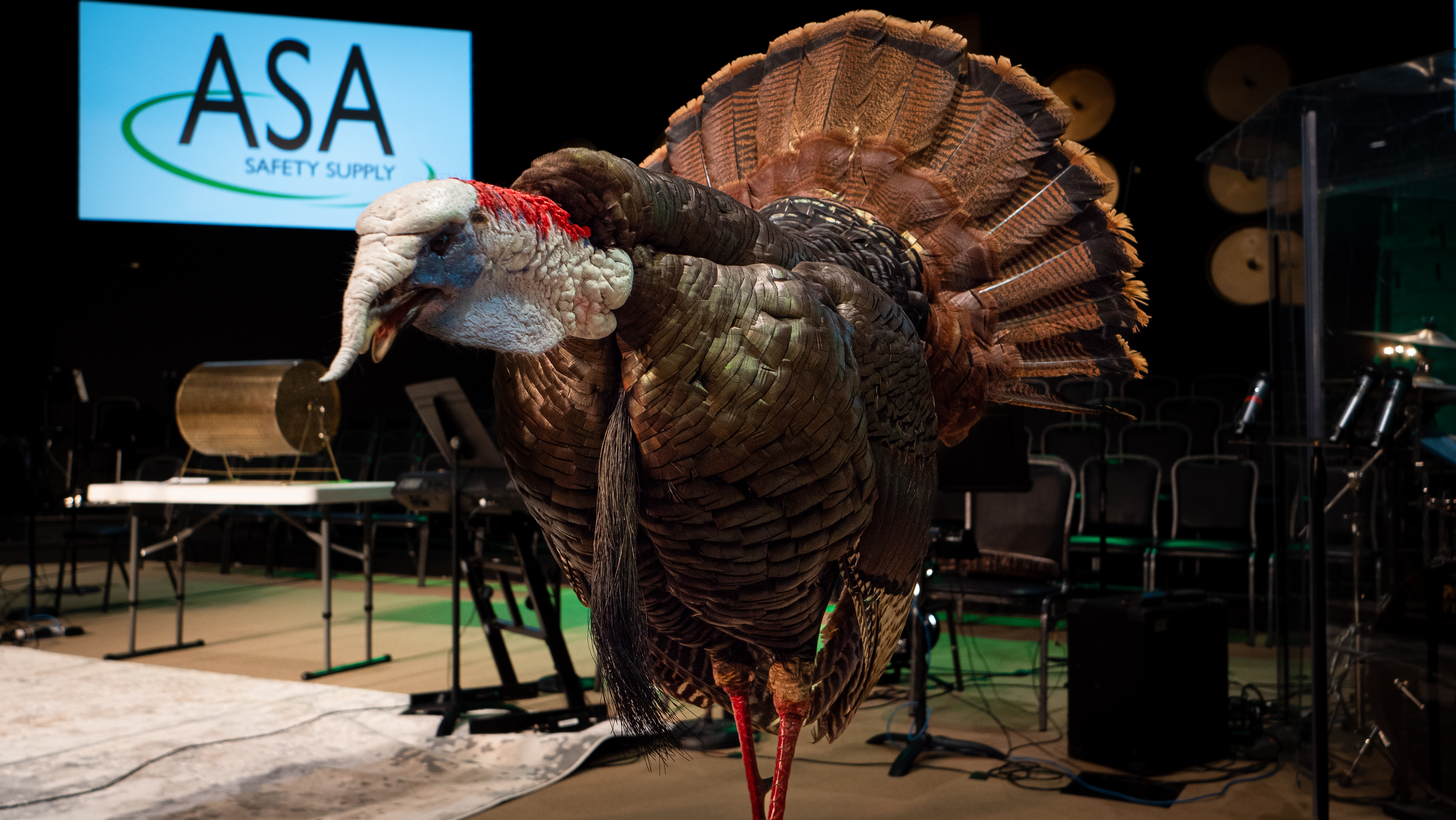 Beast Feast | Hopewell Baptist Church