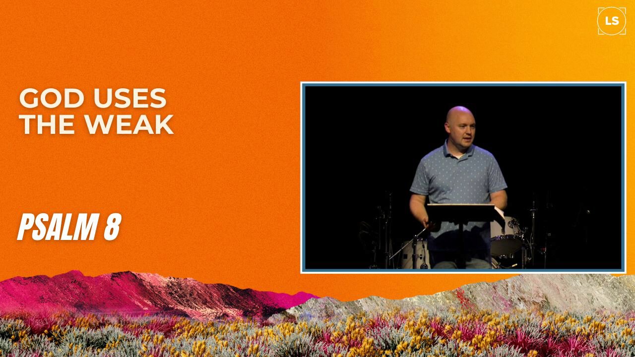 Summer of Psalms: Psalm 8 | Lake Springs Church