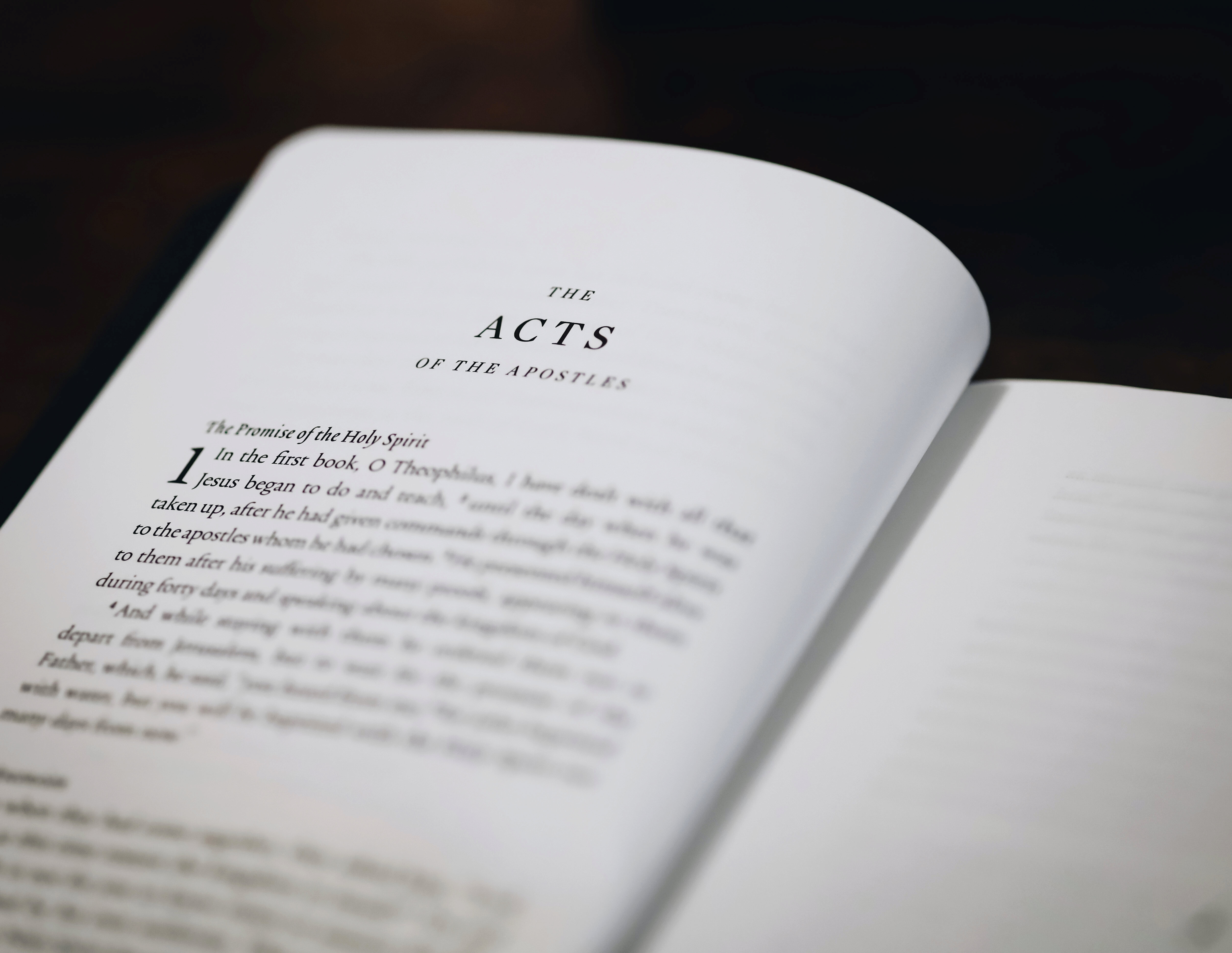 The Gospel | Branch Life Church