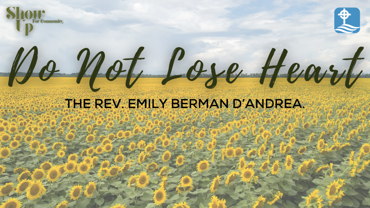 Do Not Lose Heart | Potomac Presbyterian Church