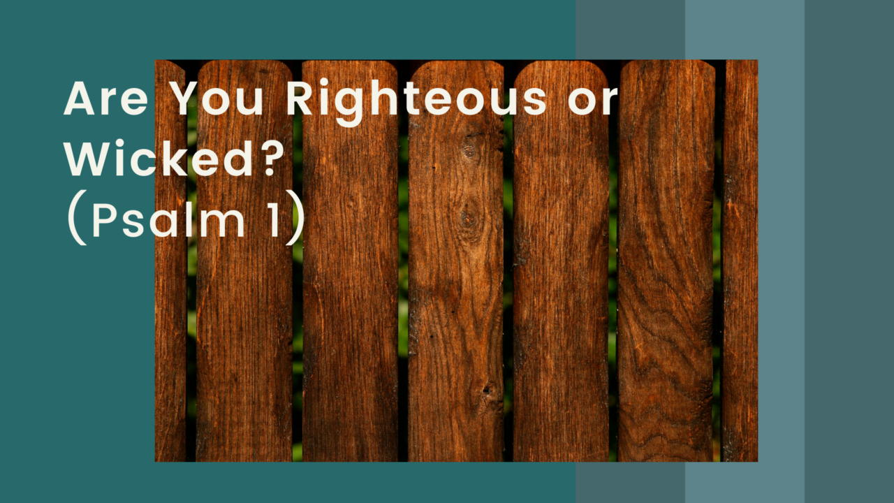 Are You Righteous or Wicked? (Psalm 1) | Broadview Church