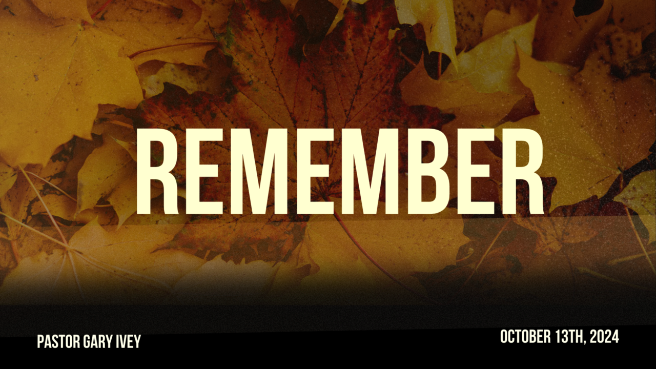 Remember || Valley Life