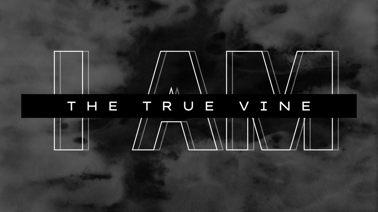I Am: The True Vine | New Life Church