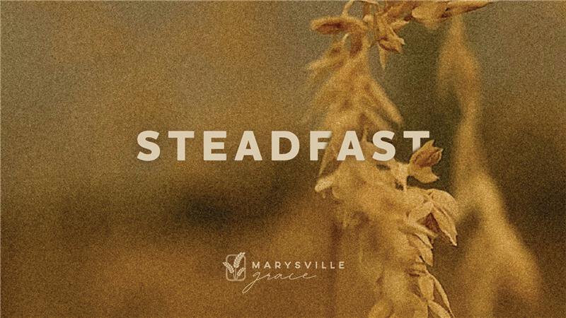 Steadfast | Part 1 | Marysville Grace